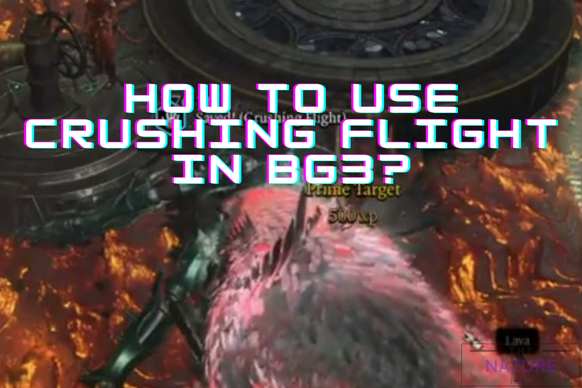 How To Get Crushing Flight In Baldur's Gate 3? - The Nature Hero