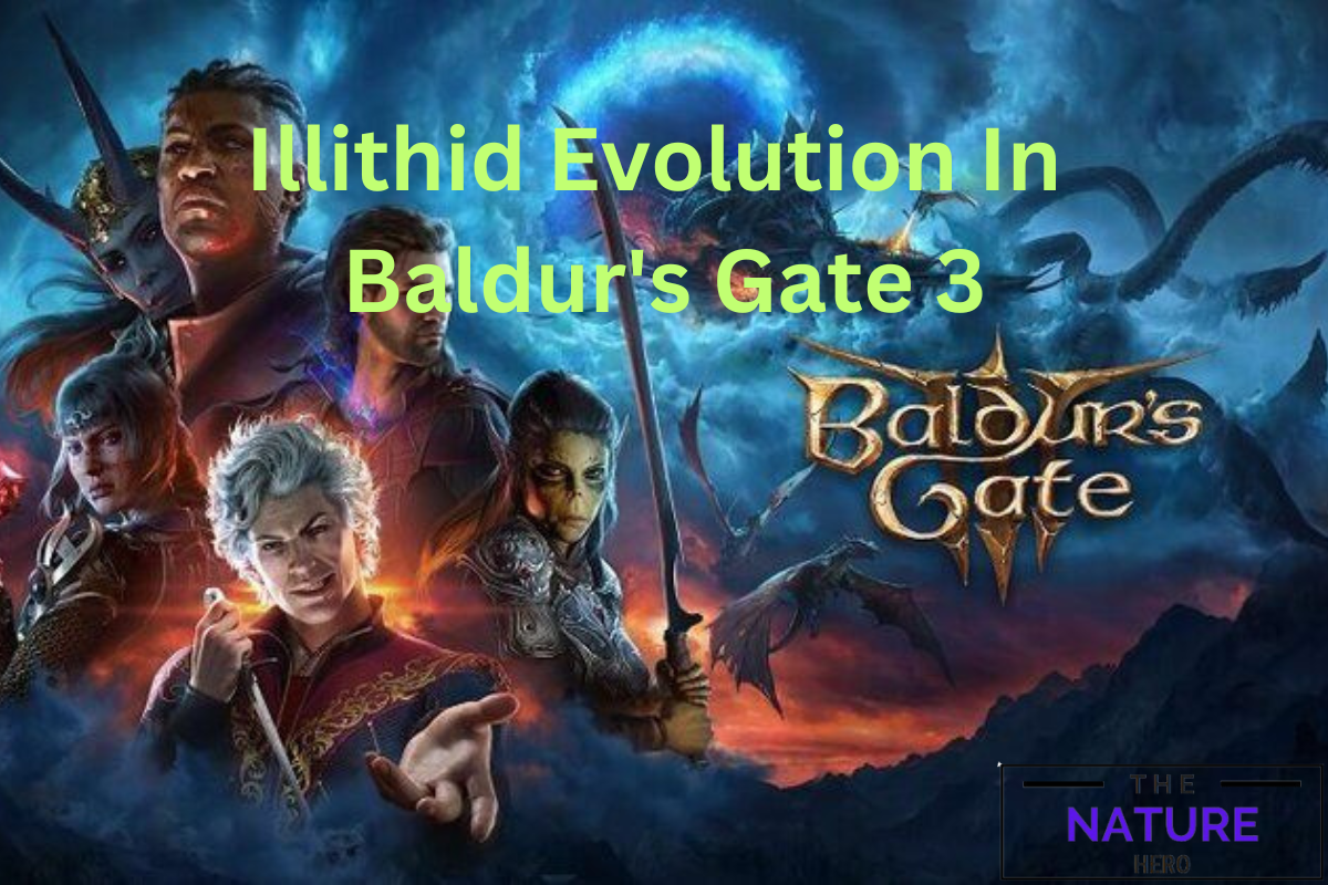 Illithid Evolution In BG3 Explained - The Nature Hero