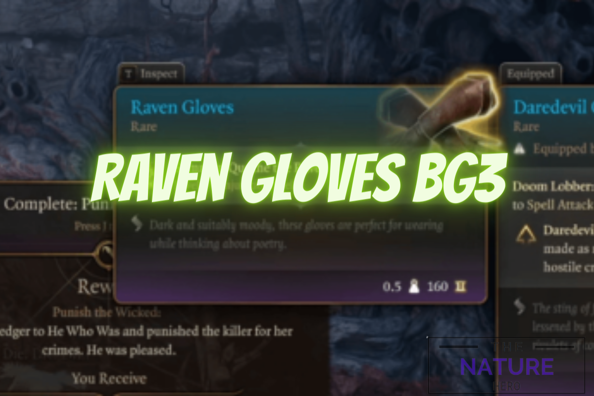 Raven Gloves In BG3: Unlock Raven Powers - The Nature Hero