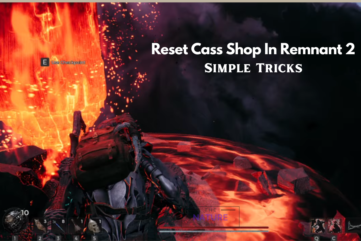 Reset Cass Shop In Remnant 2: Simple Tricks - The Nature Hero