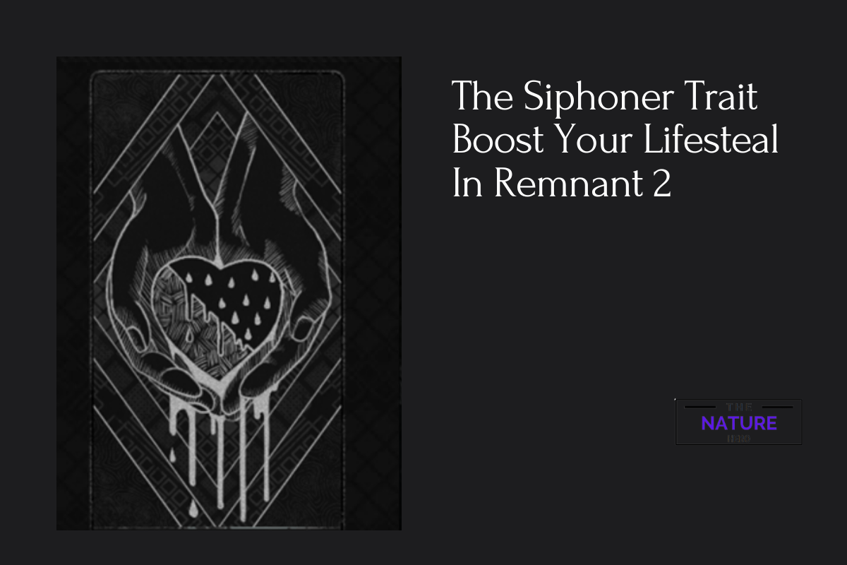 How To Boost The Lifesteal In Remnant 2? - The Nature Hero