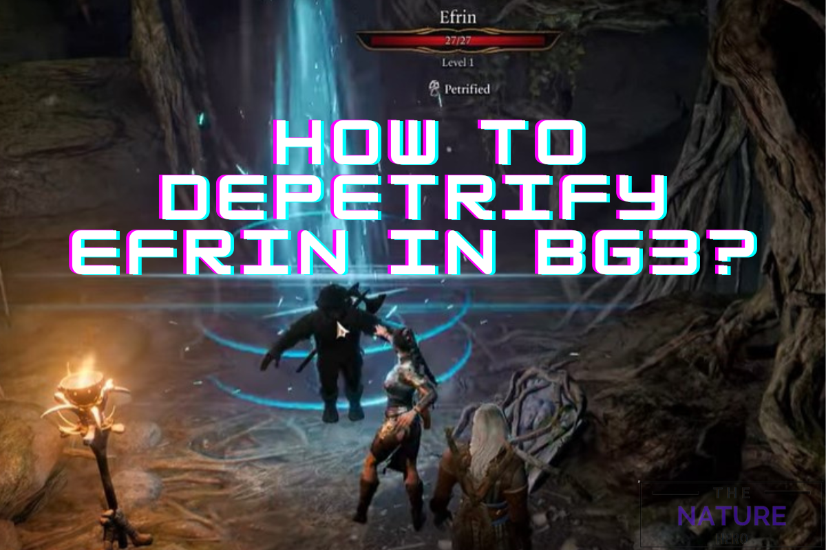 Petrified Efrin In Baldur's Gate 3: How To Cure Him? - The Nature Hero