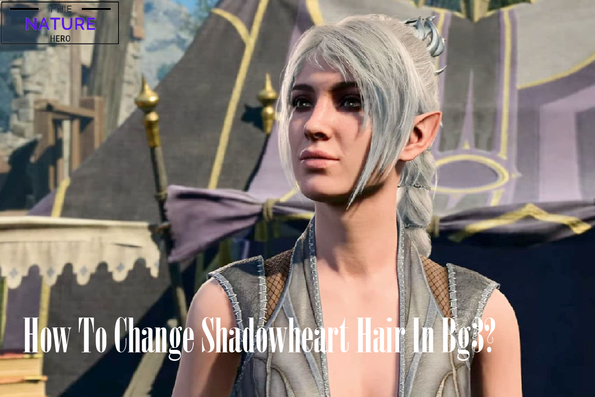 How To Change Hair For Shadowheart In BG3 The Nature Hero