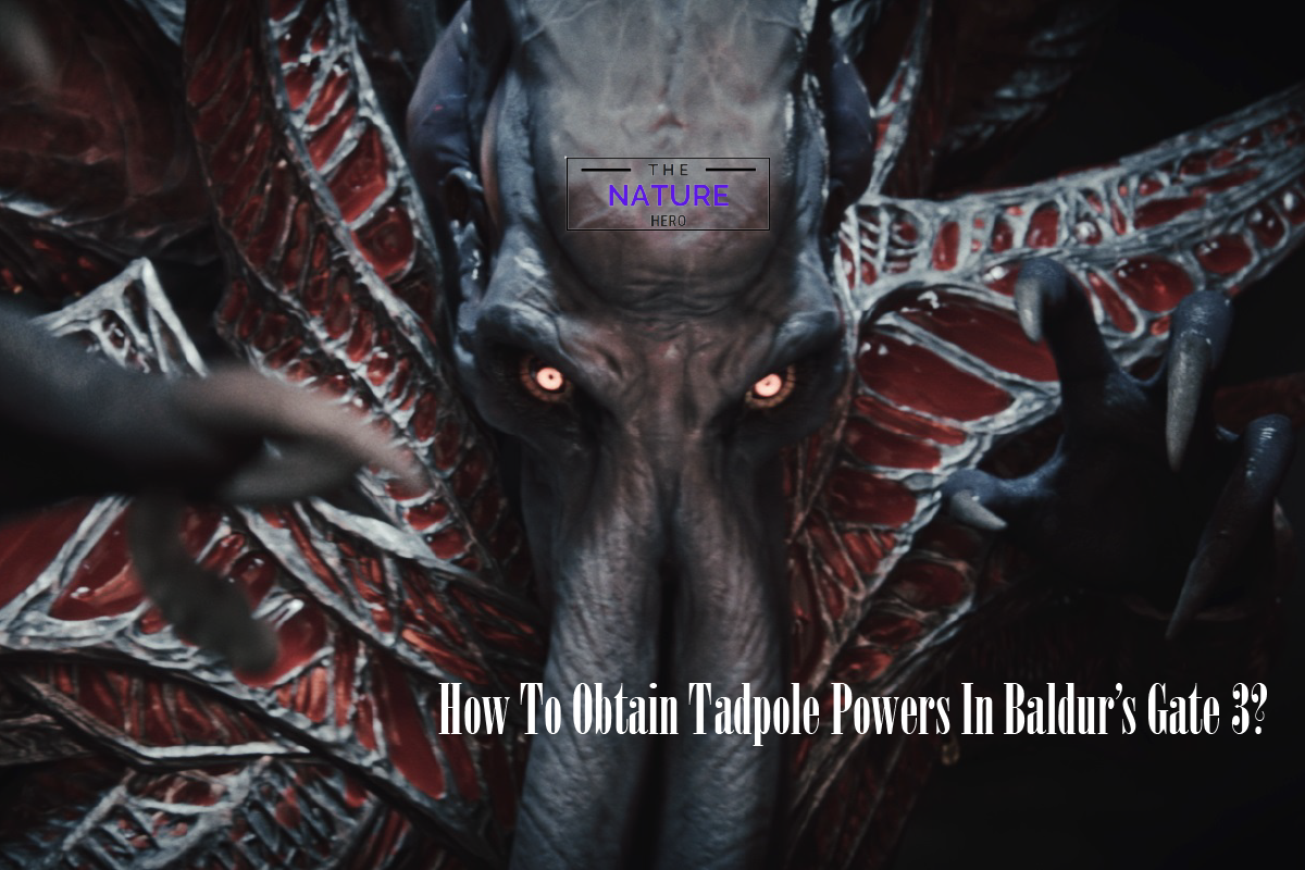 Unleash The Tadpole Powers In Baldur's Gate 3 - The Nature Hero