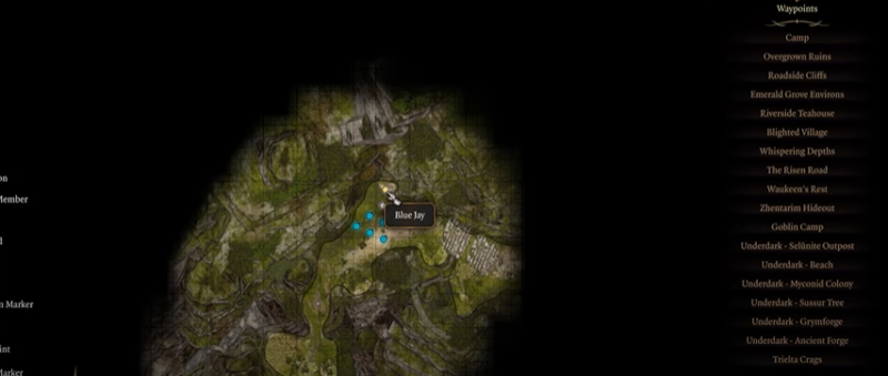 Blue Jays Find In BG3: How To Find It? - The Nature Hero