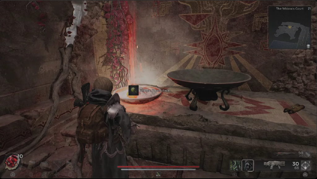 Rotten Thaen Fruit In Remnant 2: How To Find It? - The Nature Hero