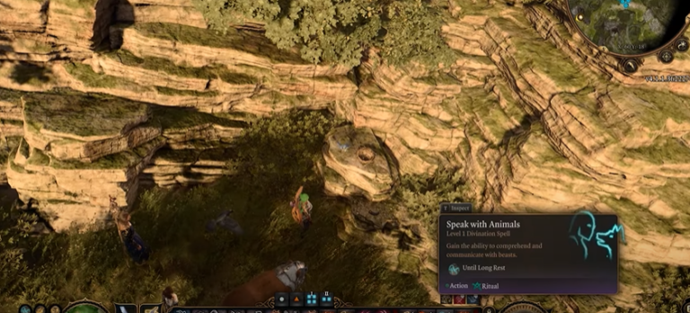 Blue Jays Find In BG3: How To Find It? - The Nature Hero