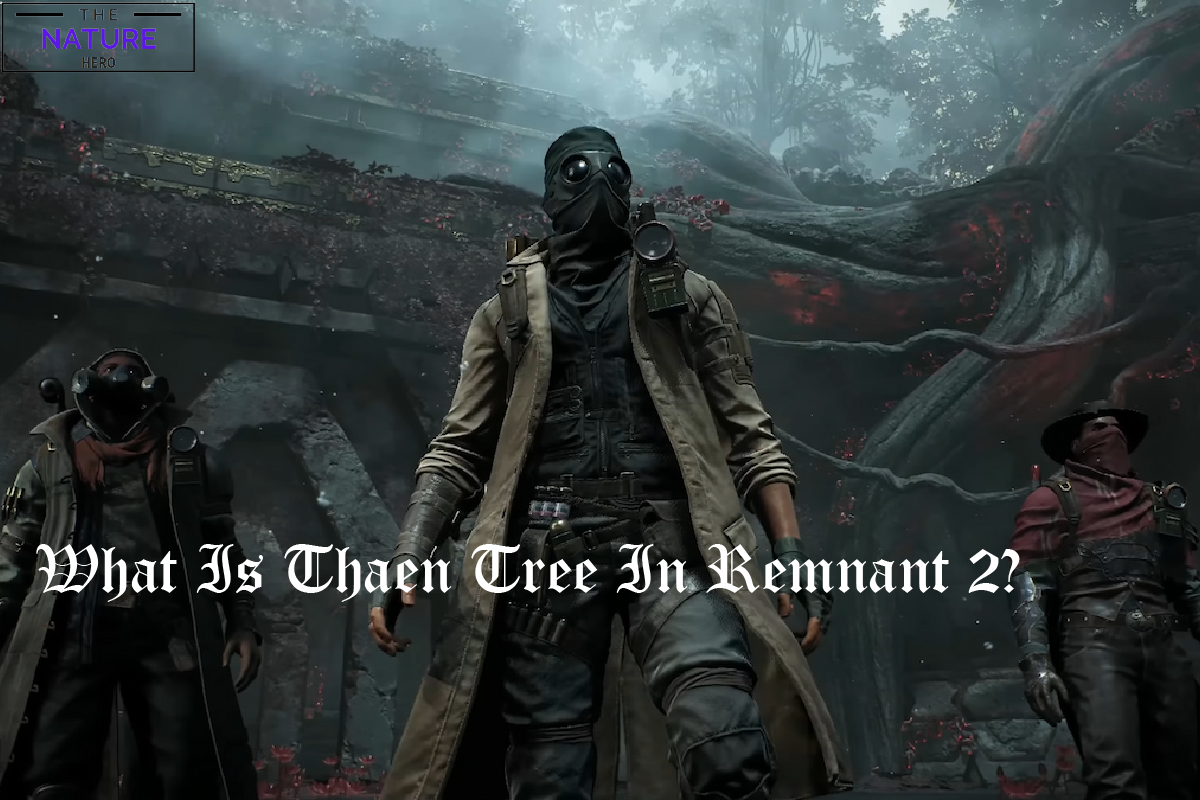 Remnant 2 - How To Use Thaen Tree? - The Nature Hero