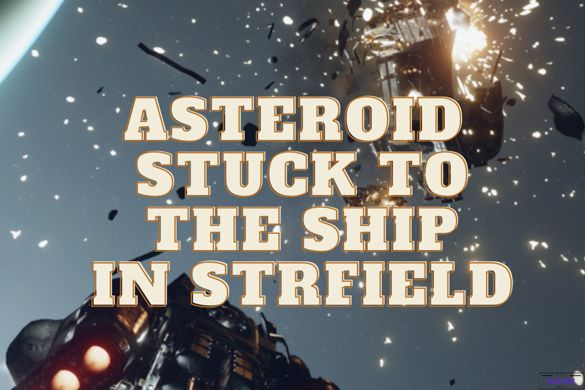 Asteroid Stuck To Ship In Starfield: Solutions - The Nature Hero