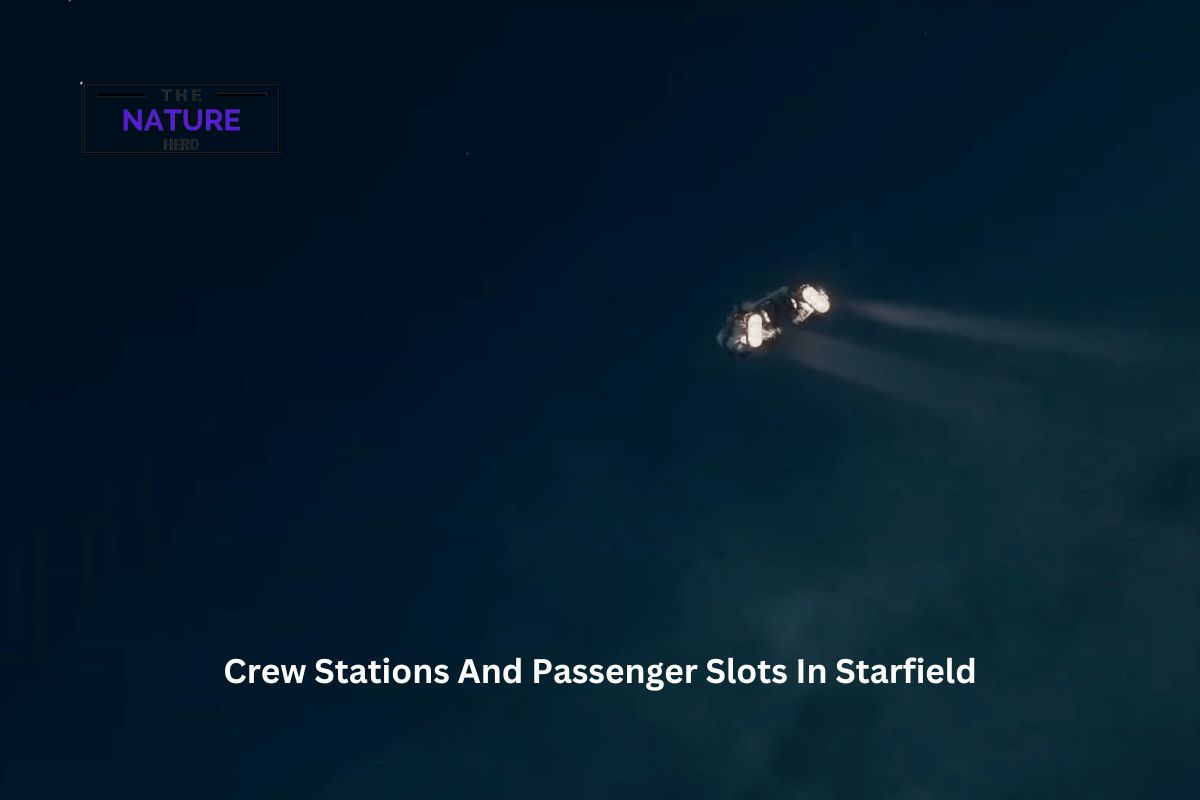 Crew Stations Vs. Passenger Slots - Major Differences - The Nature Hero