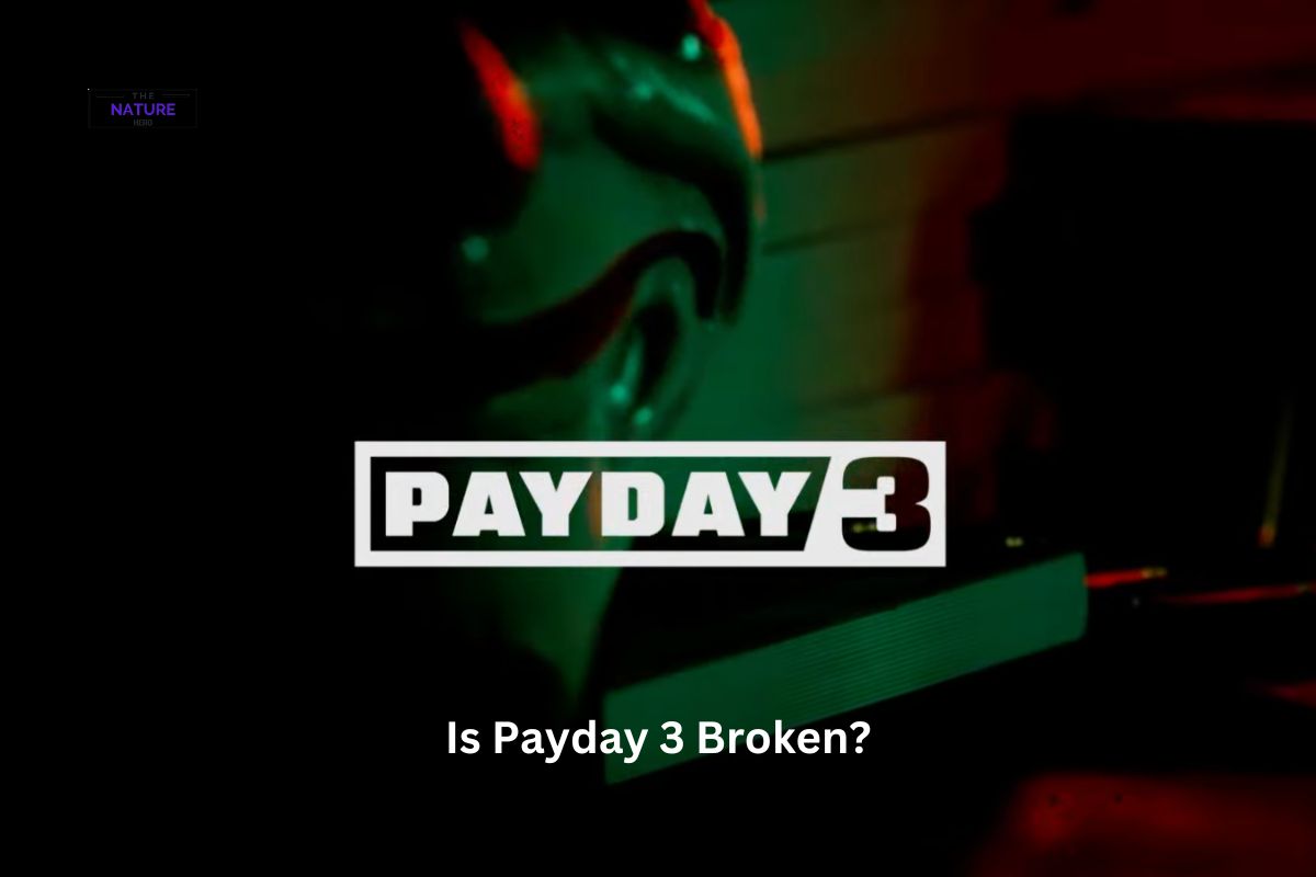 Payday 3 Broken: Causes And Fixes - The Nature Hero