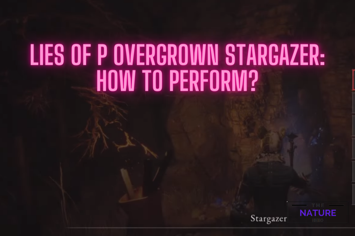 Lies Of P Overgrown Stargazer: How To Perform? - The Nature Hero