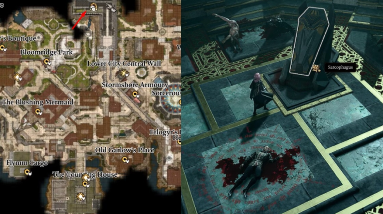 Discover The High Security Vaults In BG3 - The Nature Hero
