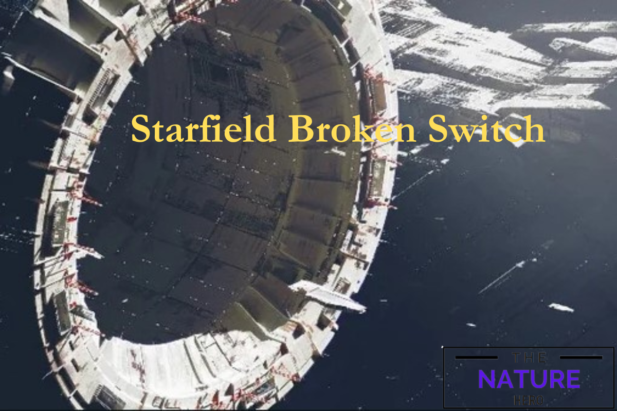 Starfield Broken Switch: How To Deal With It? - The Nature Hero