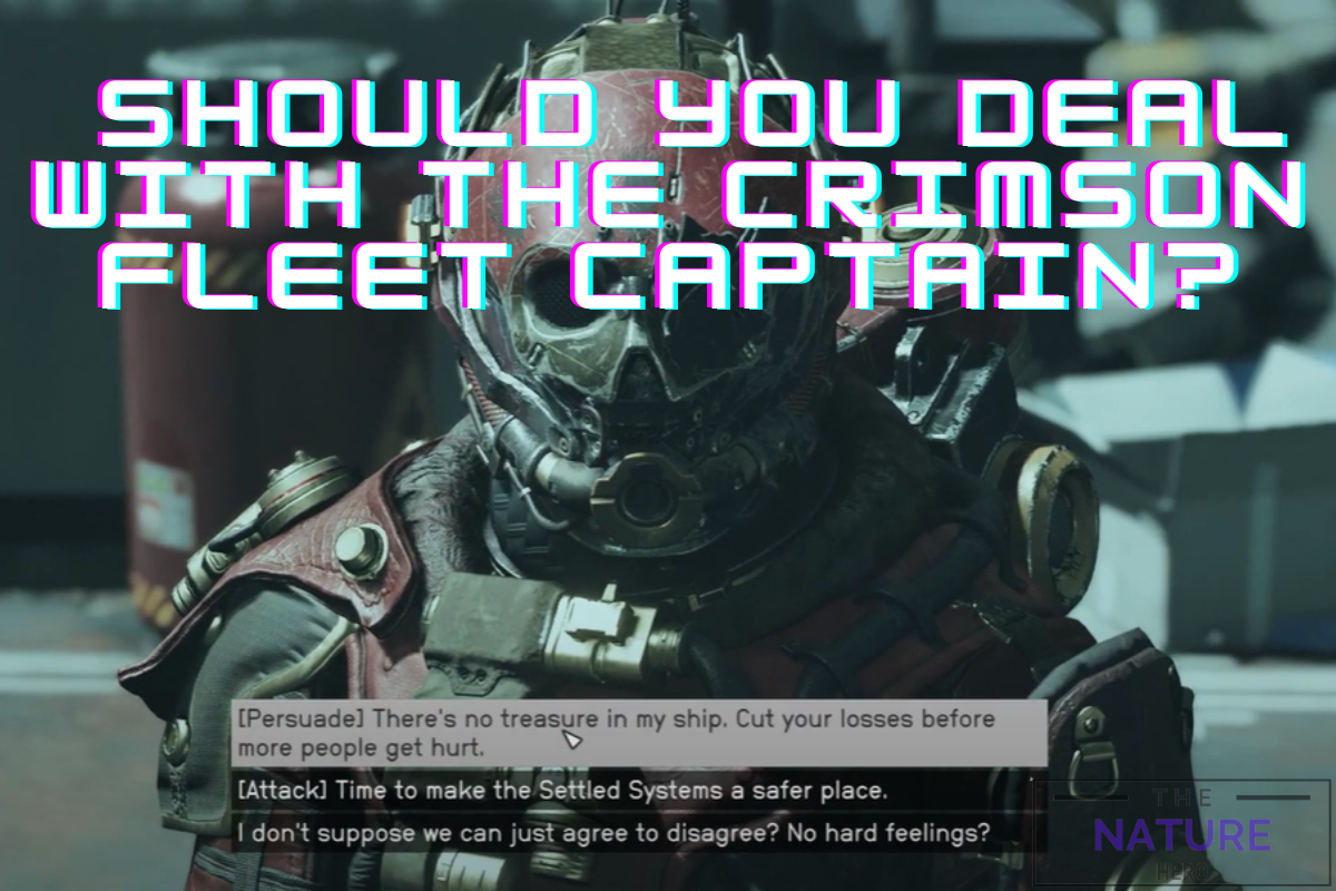 Should You Deal With The Crimson Fleet Captain? - The Nature Hero