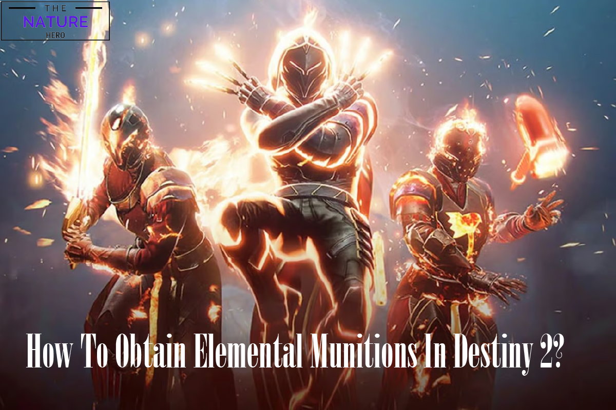 How To Obtain Elemental Munitions In Destiny 2? - The Nature Hero