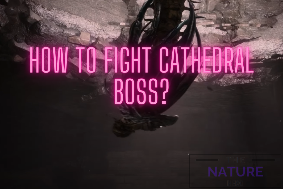 How To Fight Cathedral Boss In Lies Of P? - The Nature Hero