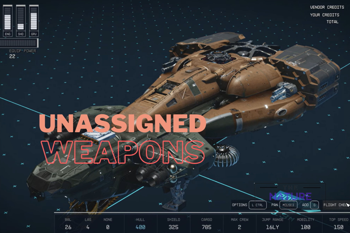 Unassigned Weapon Starfield: How To Fix Them? - The Nature Hero