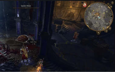 Finding Spider Meat In BG3: All Outcomes - The Nature Hero