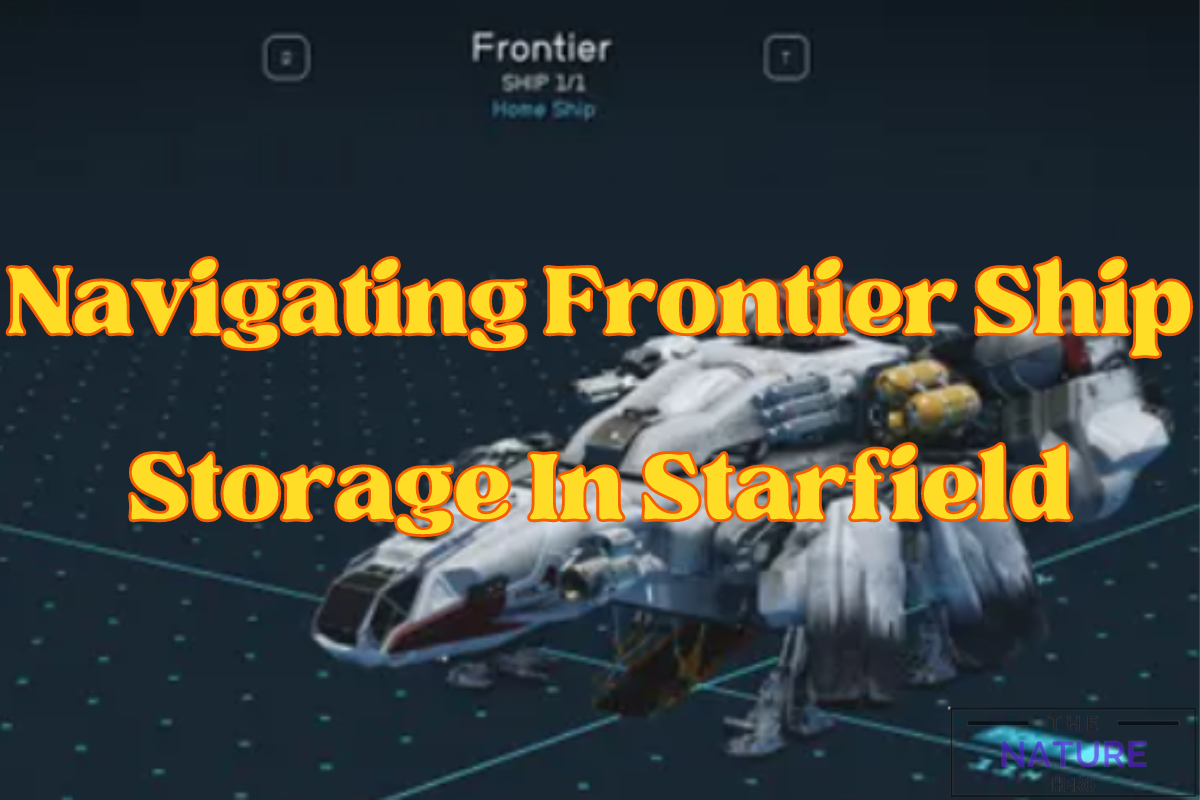 Navigating Frontier Ship Storage In Starfield - The Nature Hero