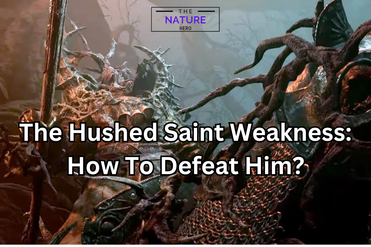 The Hushed Saint Weakness: How To Defeat Him? - The Nature Hero
