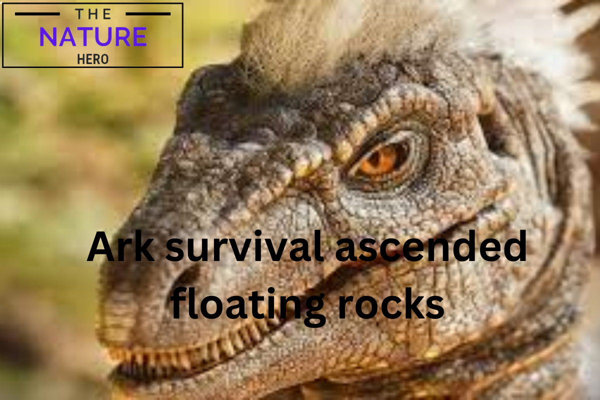Ark Survival Ascended : Fix The Issue Of Floating Rocks - The Nature Hero