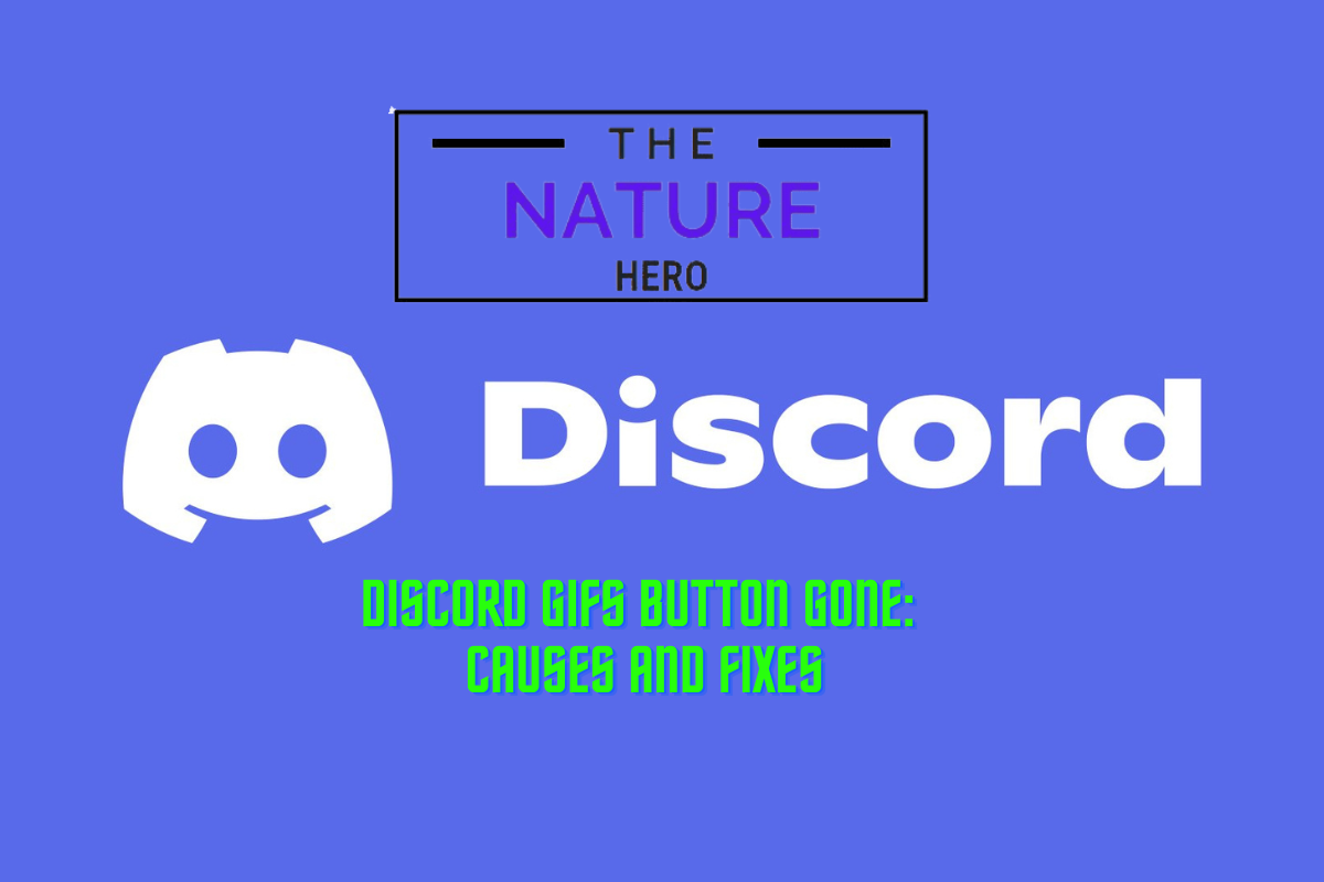 Discord GIFs Button Gone: Causes And Fixes - The Nature Hero