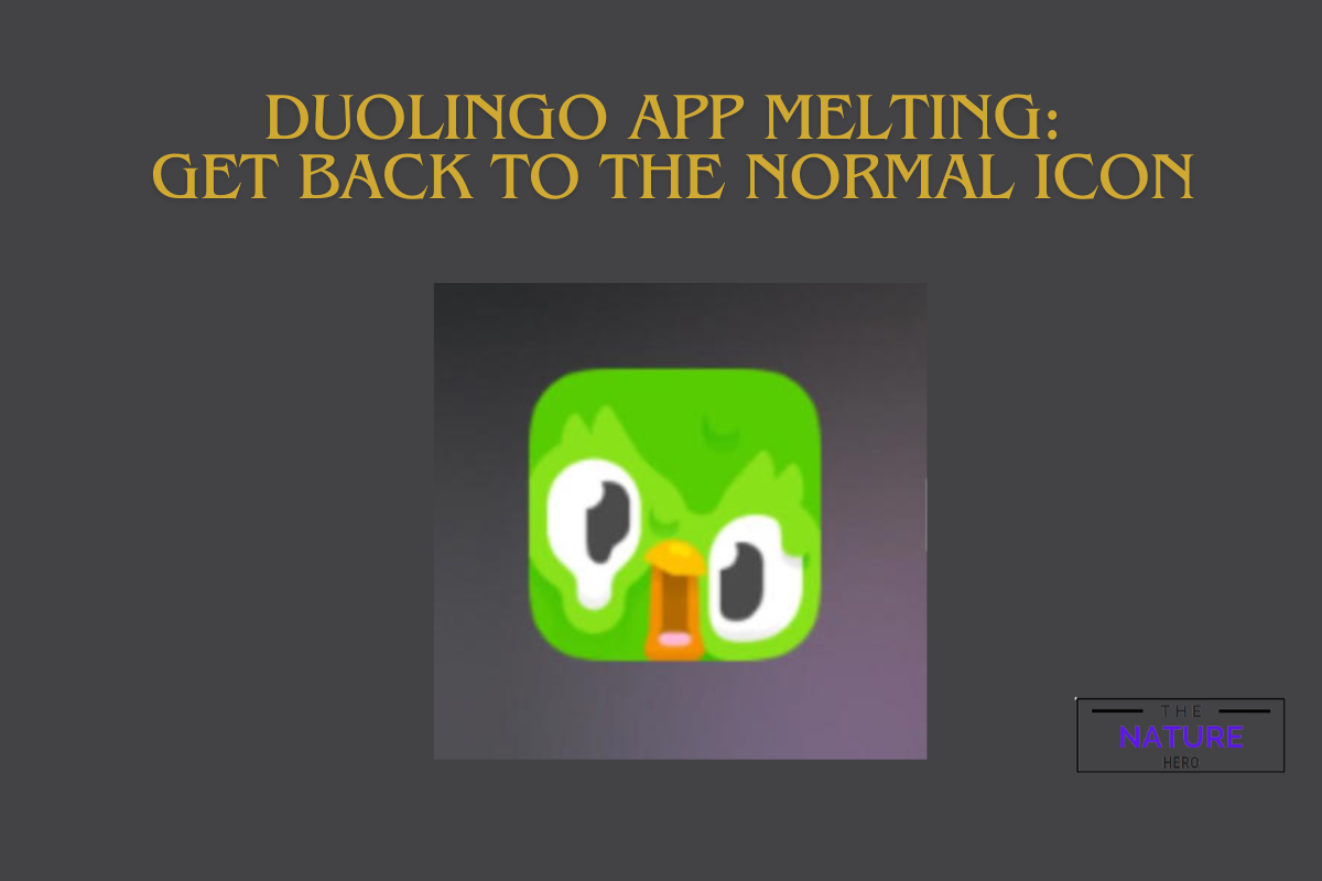 Duolingo App Melting: Get Back To The Normal Icon - The Nature Hero