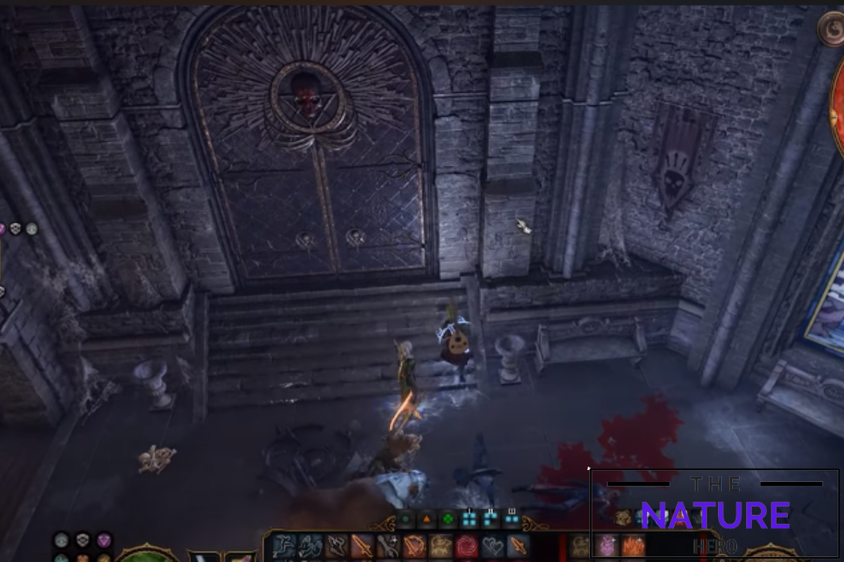 Circumstances Where Jaheira Can Be Dead In BG3 - The Nature Hero
