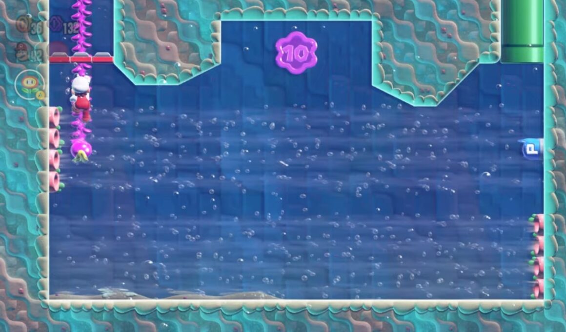 Leaping Smackerel Third Coin: How To Find It? - The Nature Hero