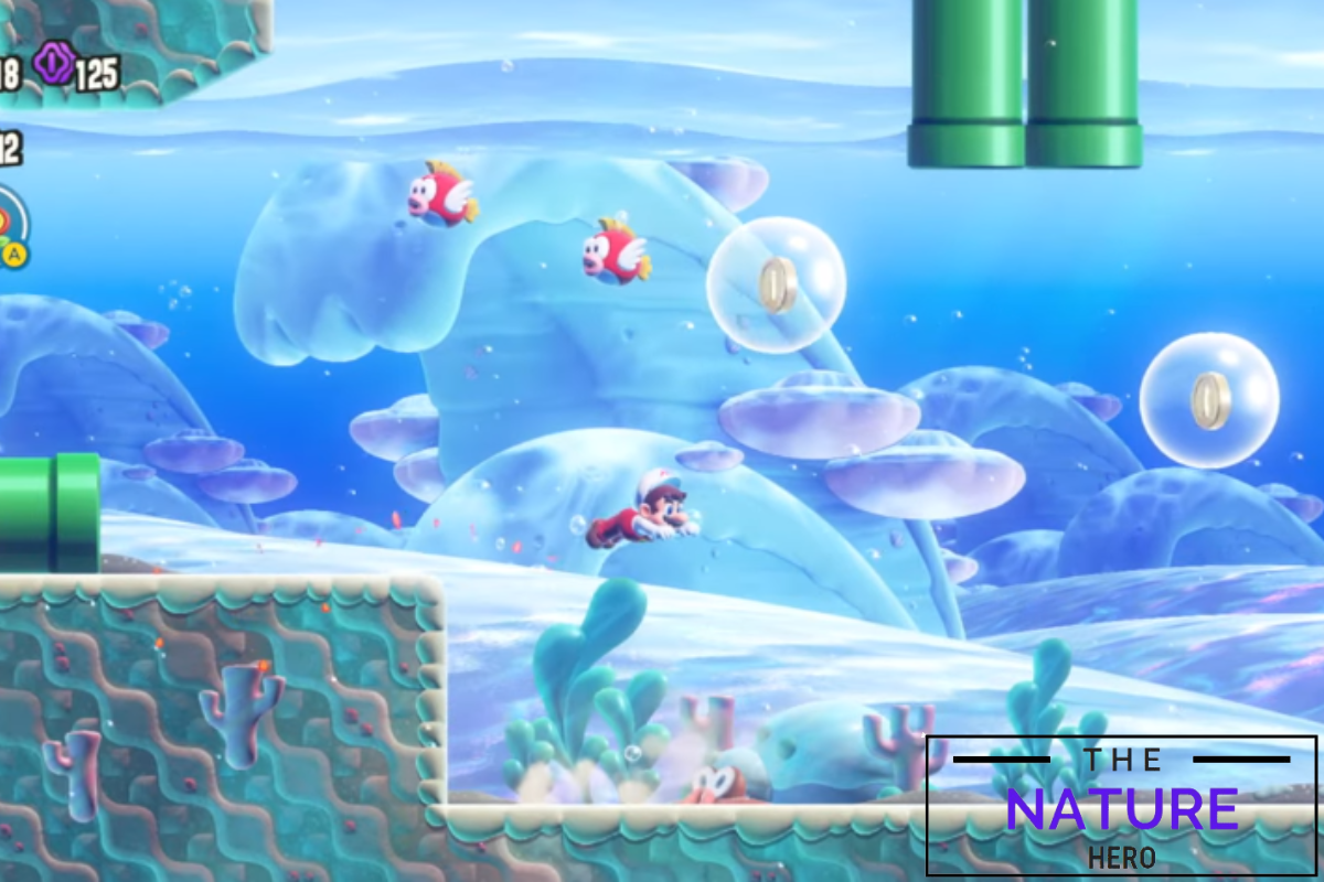 Leaping Smackerel Third Coin: How To Find It? - The Nature Hero