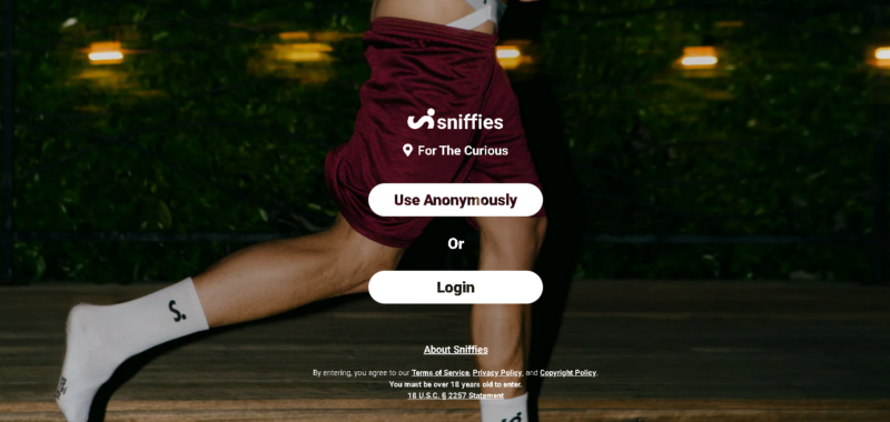 Sniffies Failed To Send Issue: Causes And Fixes - The Nature Hero