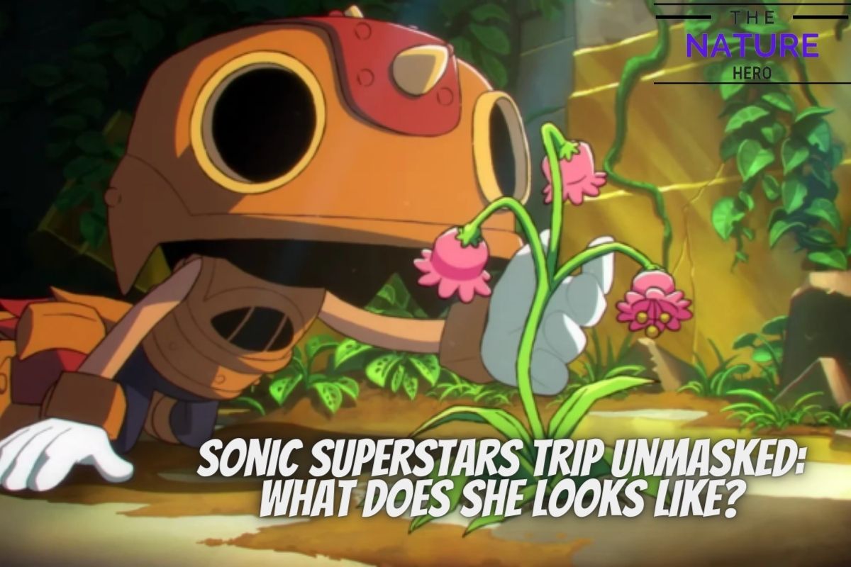 Sonic Superstars Trip Unmasked: What Does She Looks Like? - The Nature Hero