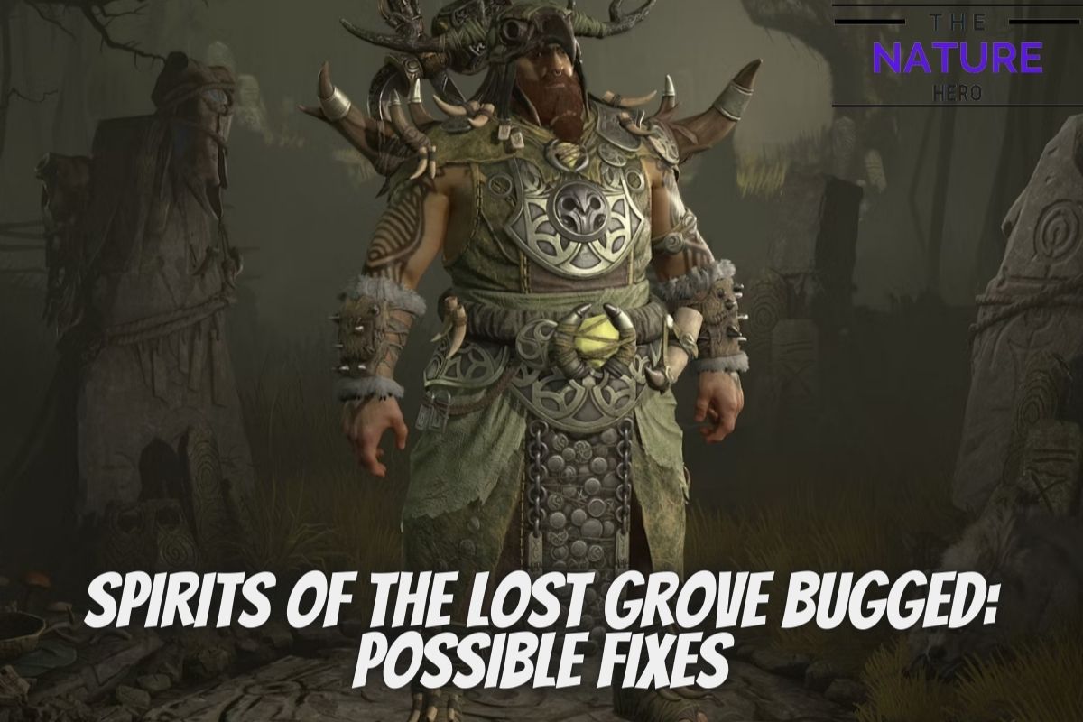 Spirits Of The Lost Grove Bugged: Possible Fixes - The Nature Hero