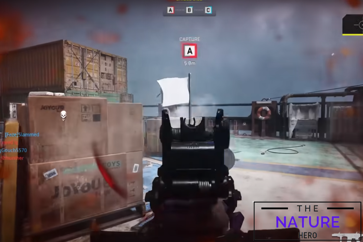 MW3 Camo Leaks: Everything You Need To Know - The Nature Hero