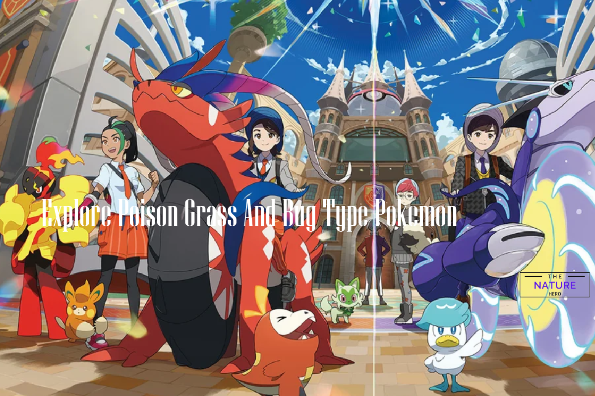 Explore Poison, Grass And Bug Type Pokemon - The Nature Hero