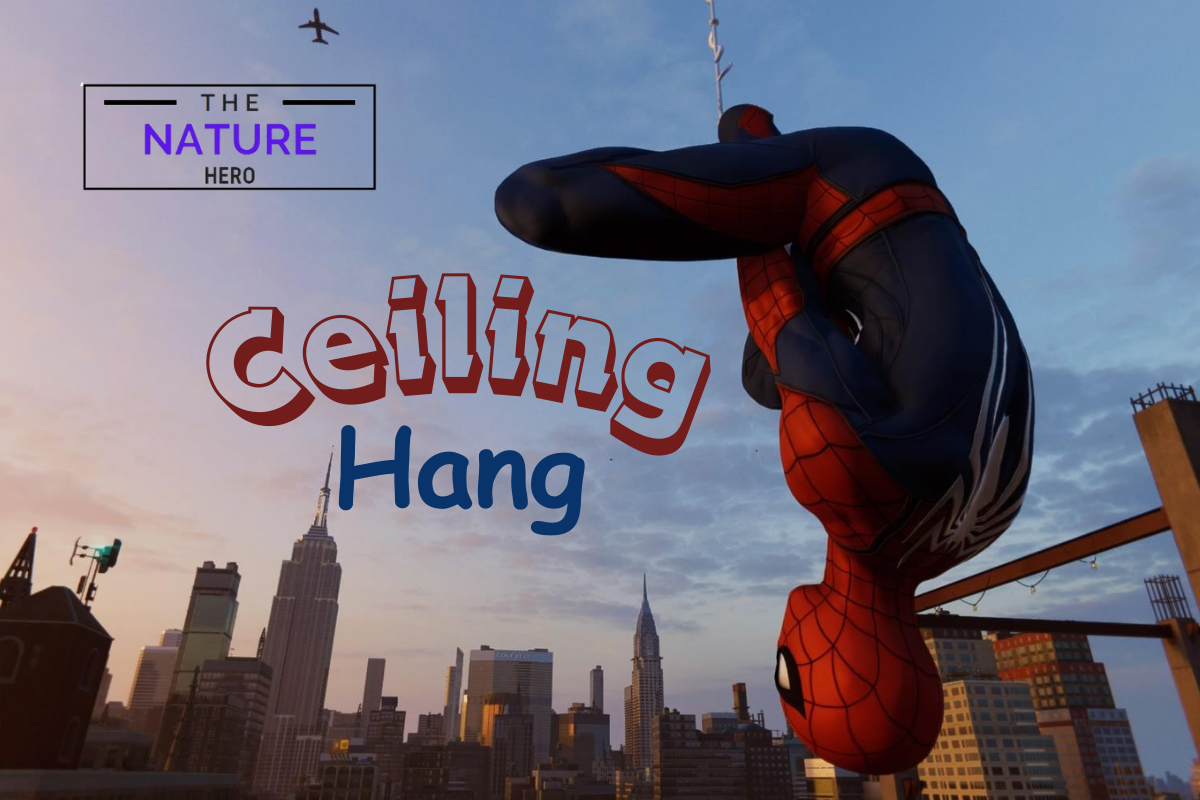 Ceiling Hang: Unleash Your Inner Wall Crawler In Spider Man 2 - The ...