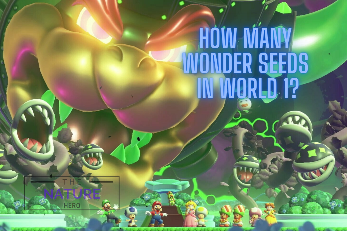 How Many Wonder Seeds Are There In World 1? - The Nature Hero