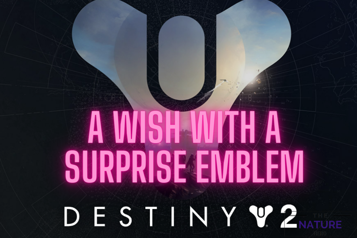 The Mystery Behind A Wish With A Surprise Emblem - The Nature Hero