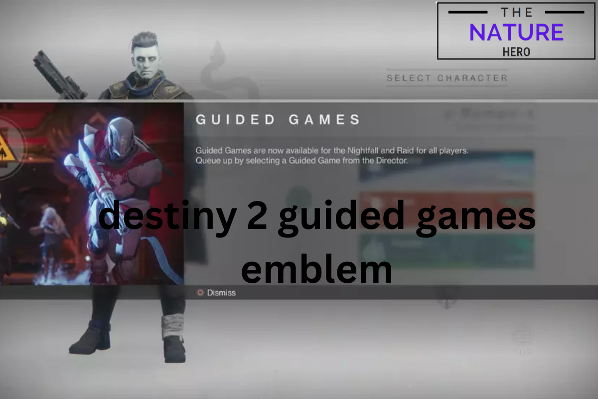 Destiny 2 Guided Games Emblem: Available Sets - The Nature Hero