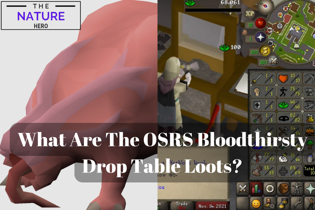 What Are The OSRS Bloodthirsty Drop Table Loots? - The Nature Hero