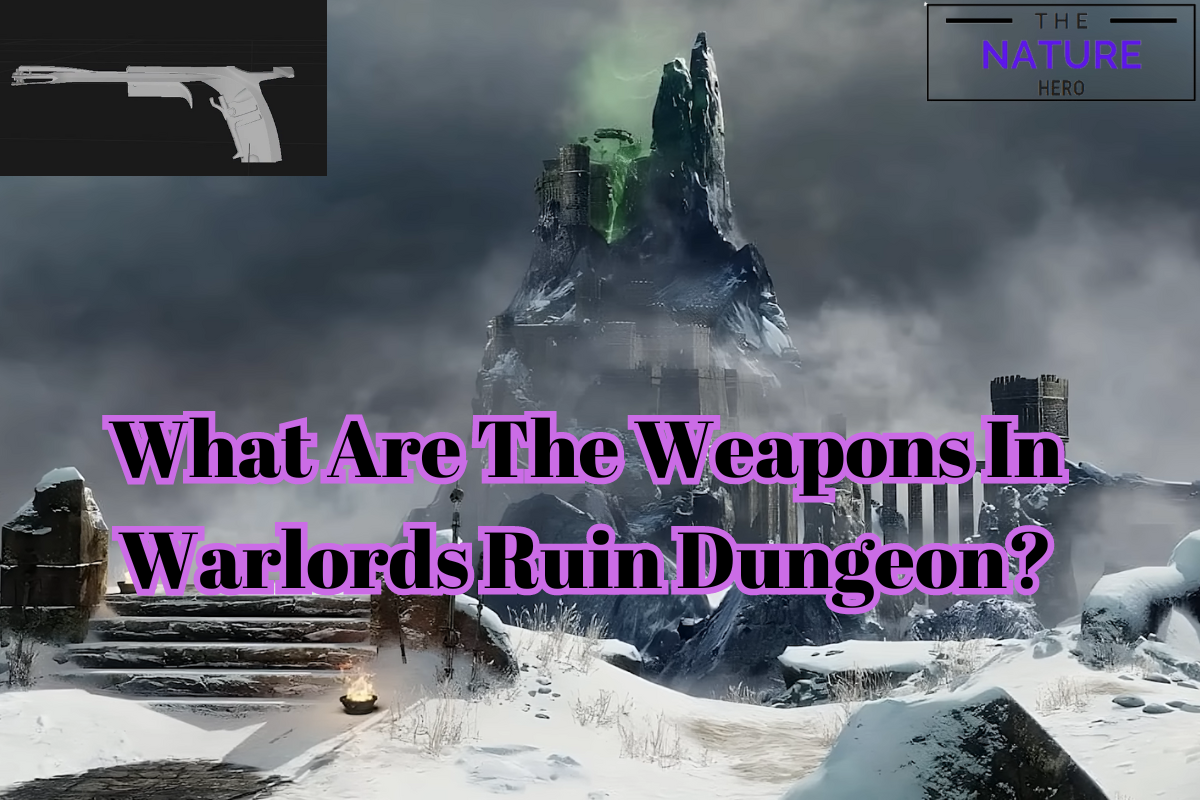List Of Weapons In Warlords Ruin Dungeon - The Nature Hero