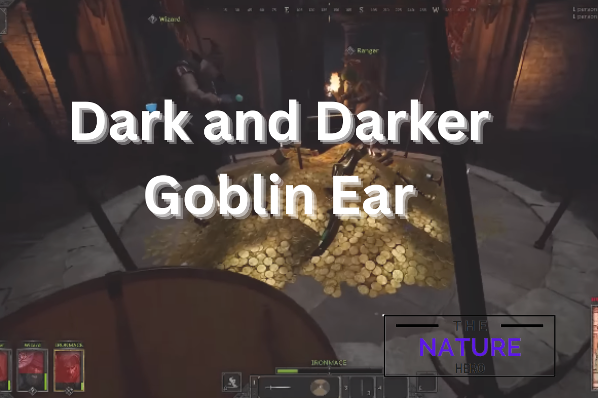 Dark and Darker Goblin Ear: Where To Use It? - The Nature Hero