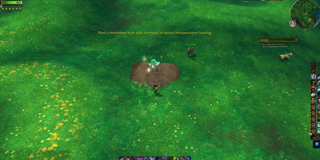 Seed Bloom In WoW: Guide To Blooming Dreamseeds Quest - The Nature Hero