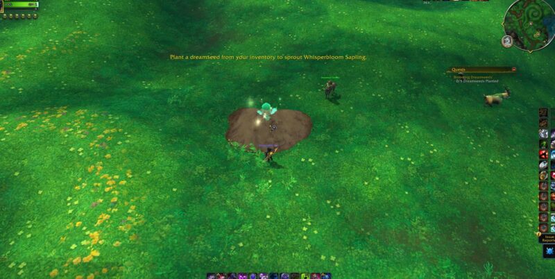 Seed Bloom In WoW: Guide To Blooming Dreamseeds Quest - The Nature Hero