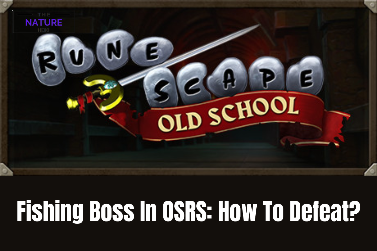 Fishing Boss In OSRS: How To Defeat Him? - The Nature Hero