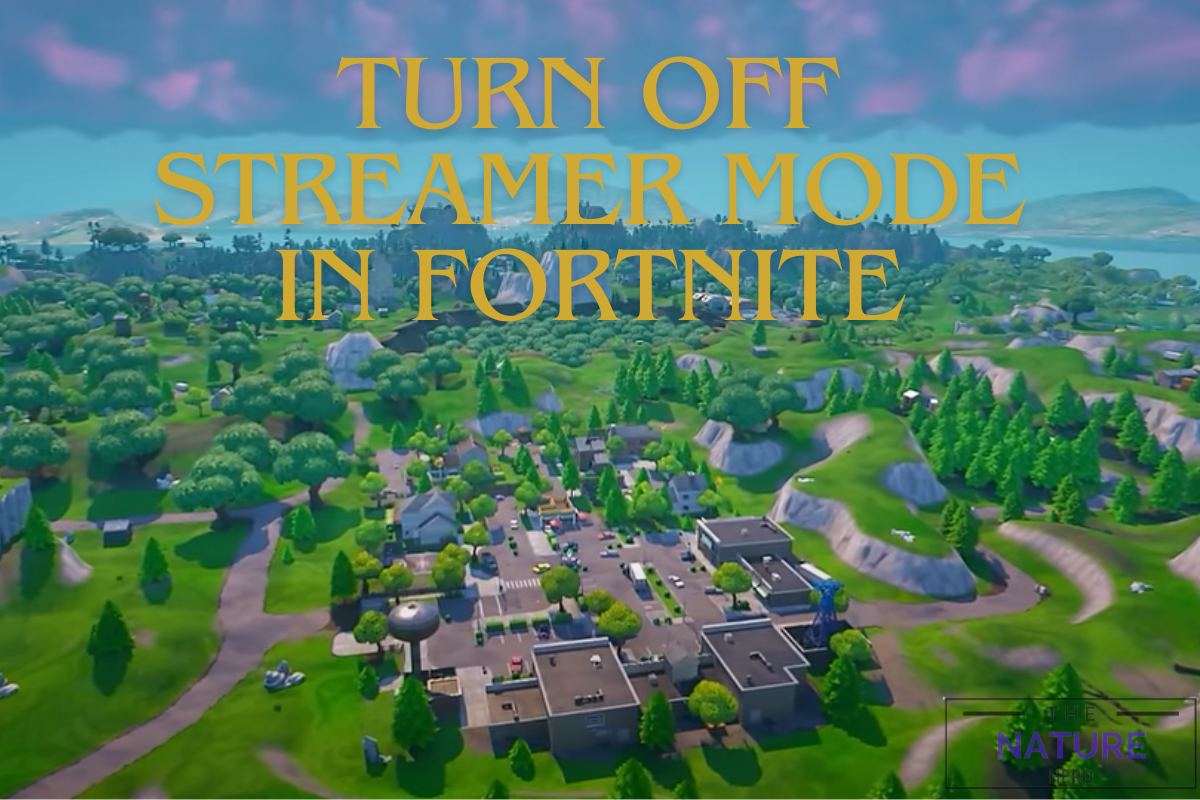 How To Turn Off Streamer Mode In Fortnite? - The Nature Hero