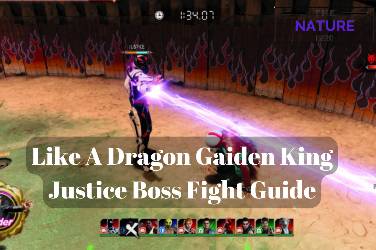 Like A Dragon Gaiden King Justice Boss Fight Guide - The Nature Hero