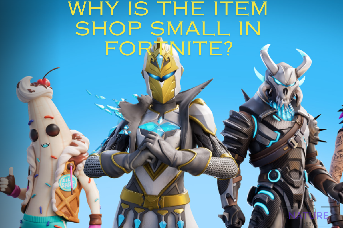 Why Is The Fortnite Item Shop So Small? - The Nature Hero
