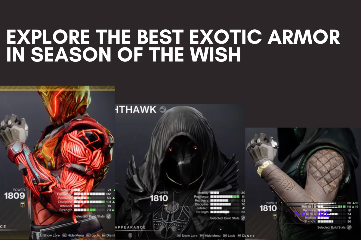 Explore The Best Exotic Armor In Season Of The Wish - The Nature Hero